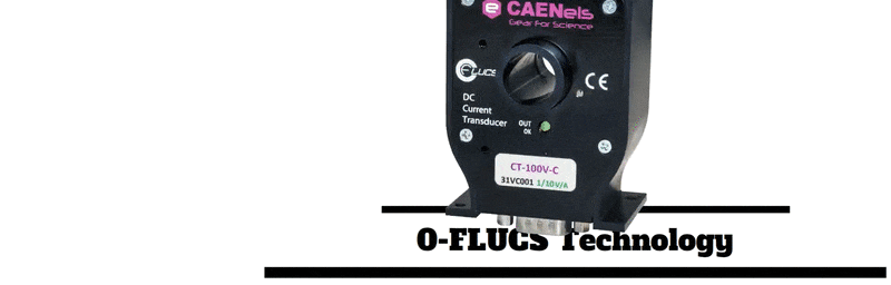 CAEN Tech - CAEN ELS Section